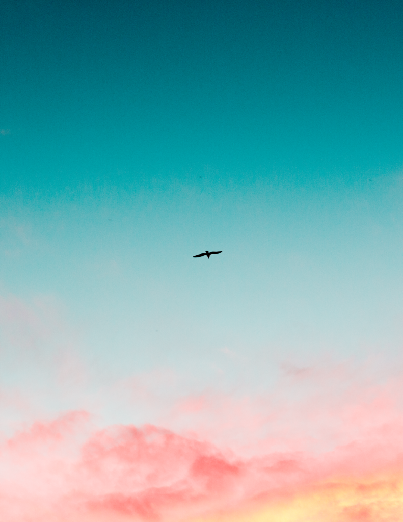 NVMe Capacity Concepts with the CSD 3000 - ScaleFlux